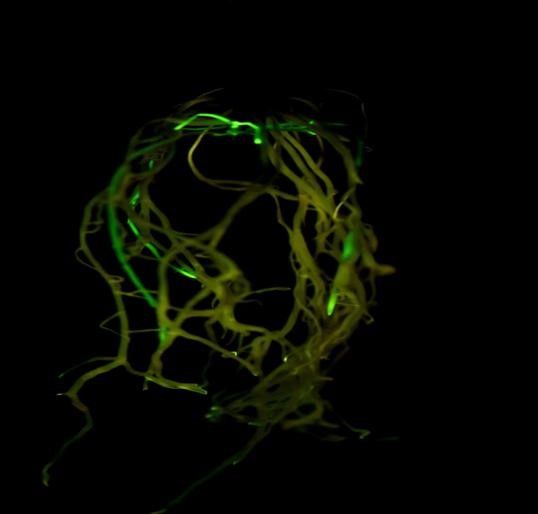 LUYOR-3421 - 北京捷盈科技有限公司